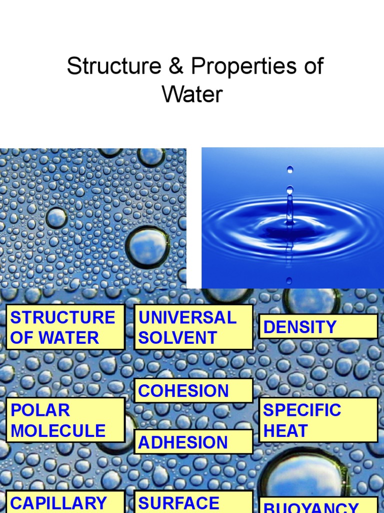 Structure & Properties of Water | PDF | Chemical Polarity | Properties ...