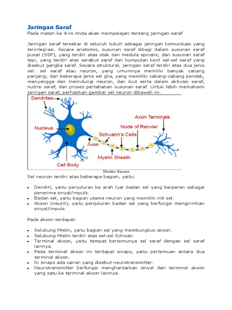 Jaringan Saraf | PDF