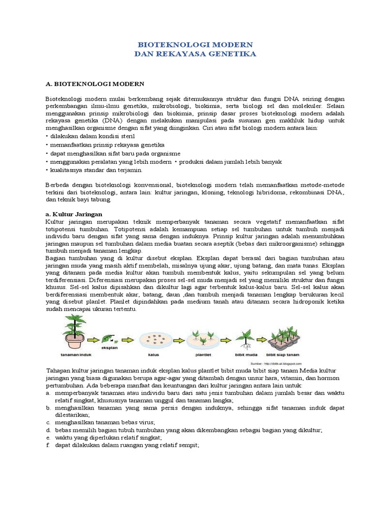 Bioteknologi Modern Dan Rekayasa Genetika | PDF