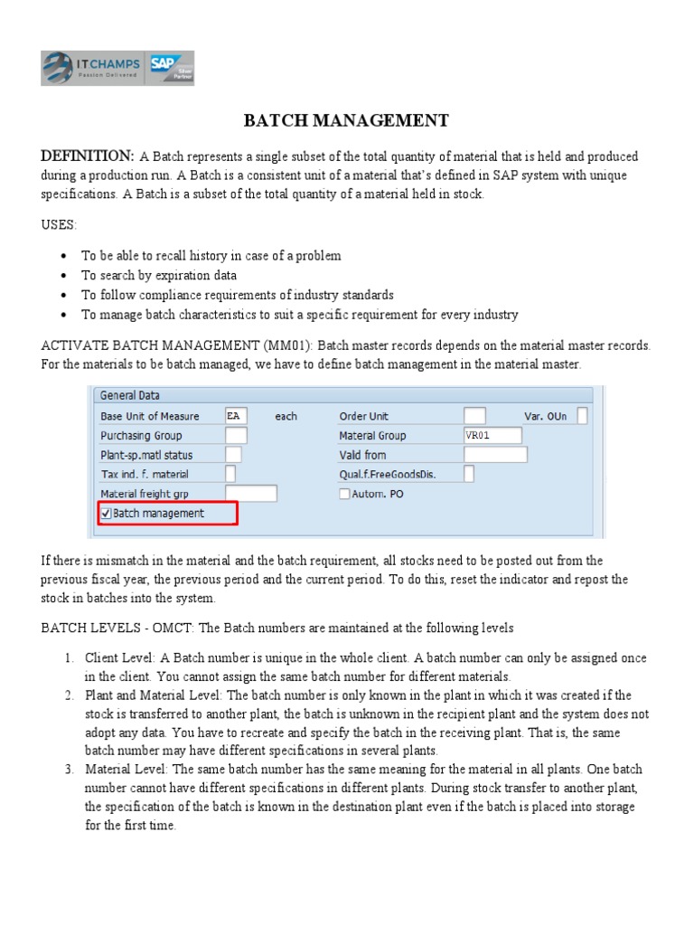 Batch Management: Definition | PDF | Specification (Technical Standard ...