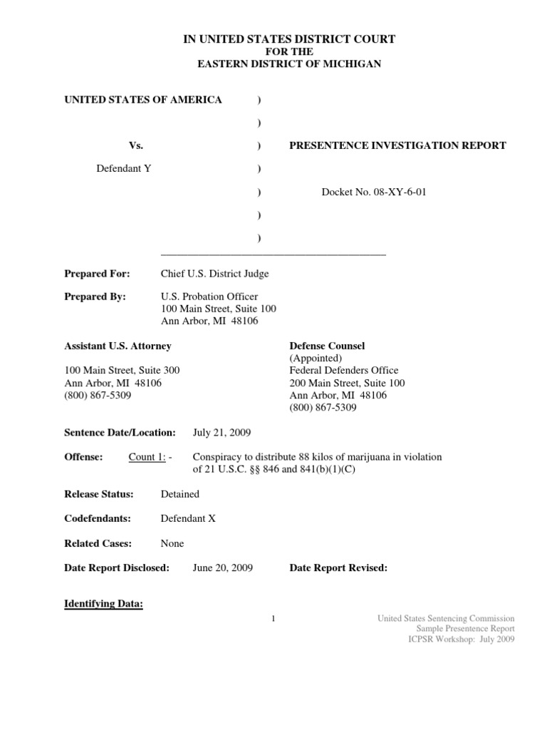 Sample Pre-Sentence Investigation Report | PDF | United States Federal ...