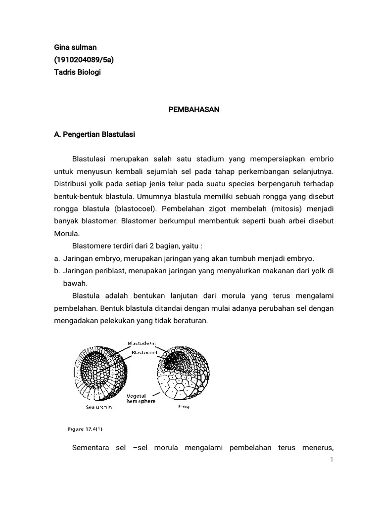 Proses dan Jenis Blastulasi Embrio | PDF