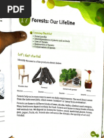 Wildfire Reading Practice Test | PDF | Wildfire | Wound