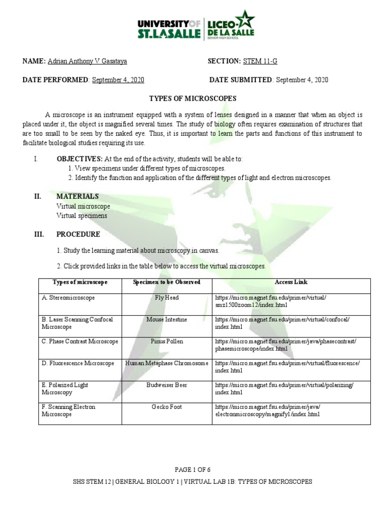 Biology Lab Activity 2 | PDF | Microscopy | Microscope