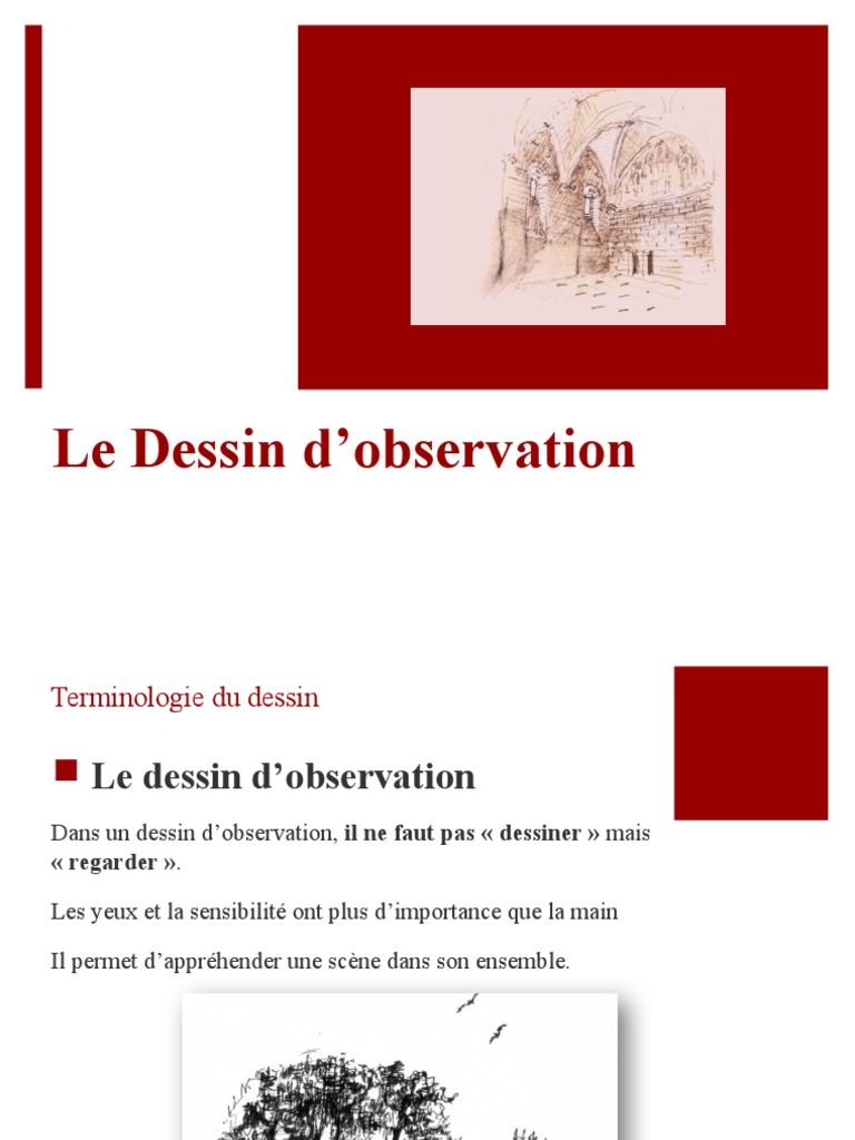 420 Dessin D'observation | PDF | Dessin