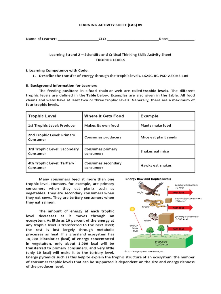 Learning Activity Sheet (Las) #9: Trophic Level Where It Gets Food ...
