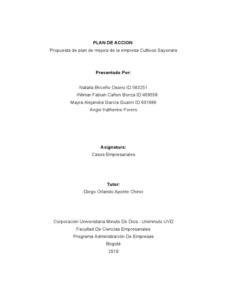 Plan de Accion | PDF | Marketing | Business