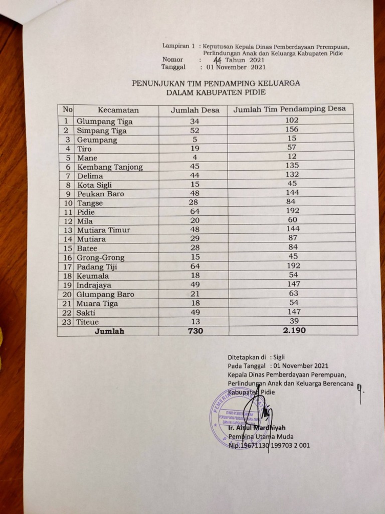 SK TIM TPK Desa Kabupaten Pidie | PDF