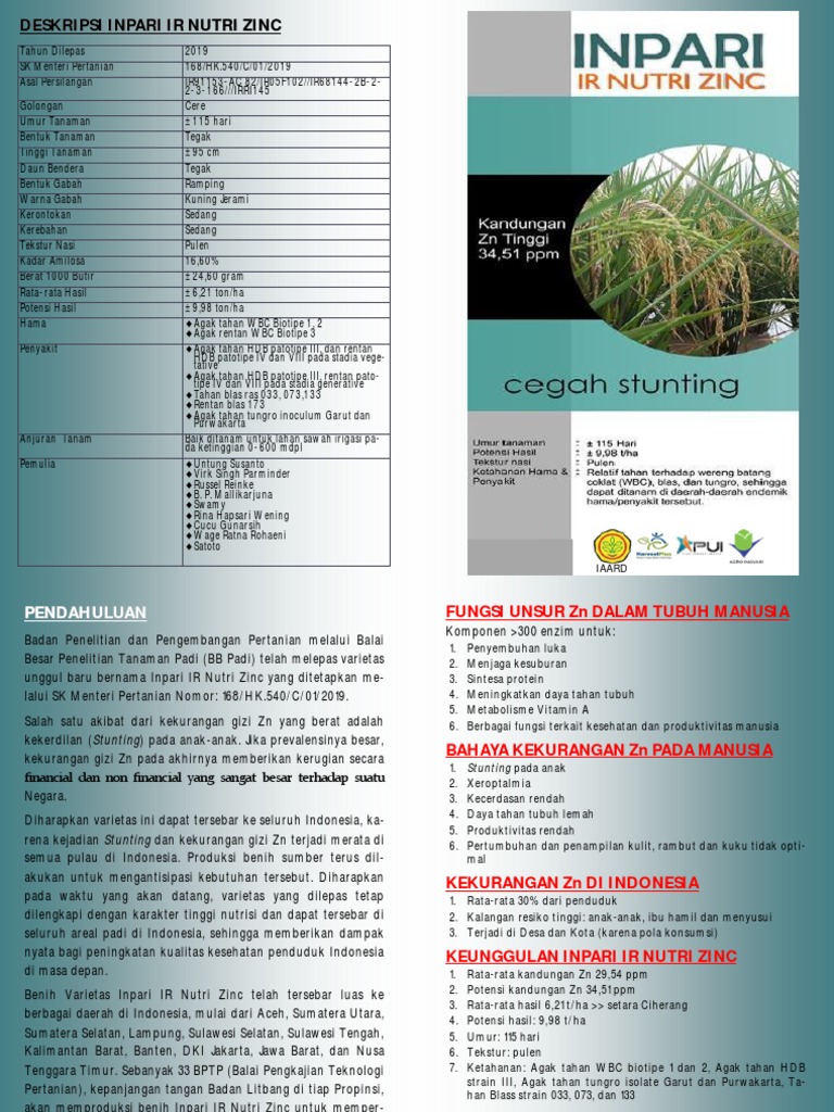 LEAFLET Inpari IR Nutri Zinc-Indonesia | PDF | Kesehatan Holistik ...