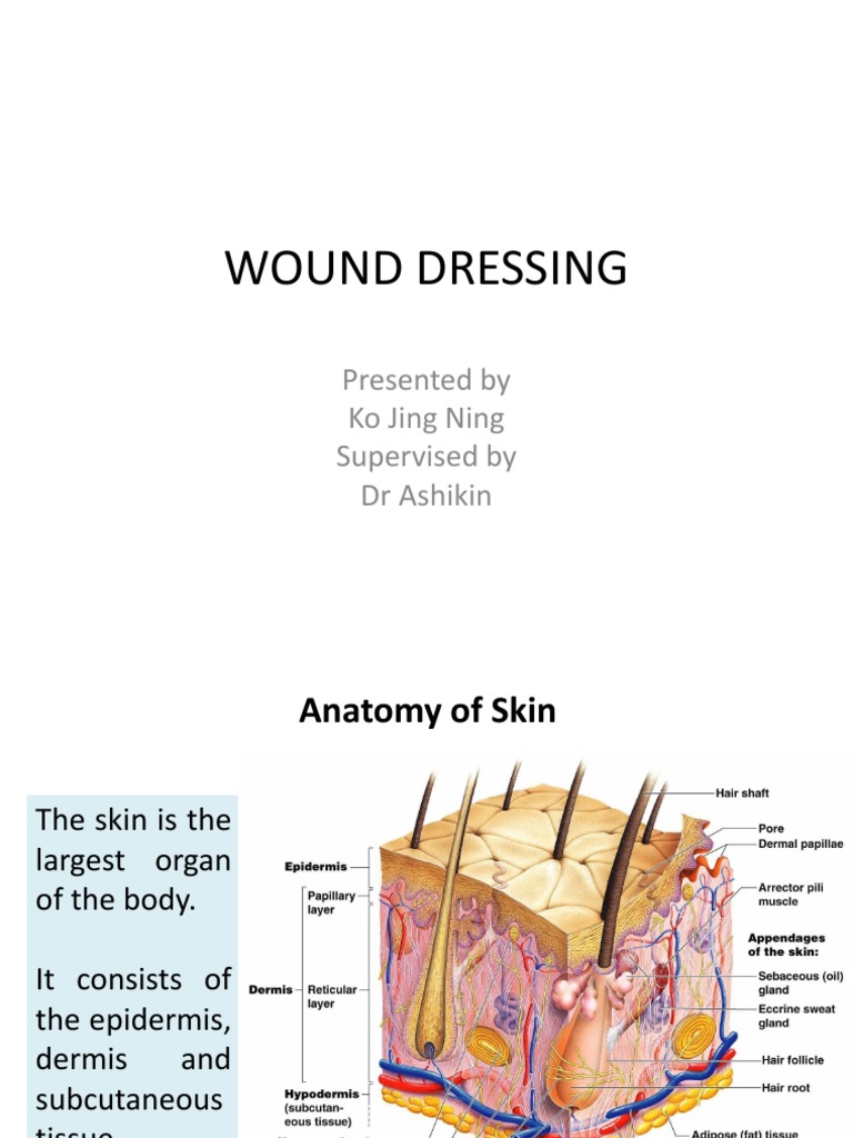Wound Dressing: Anatomy, Classification, Healing and Debridement ...