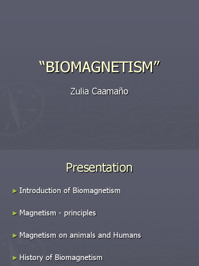 BIOMAGNETISM | PDF | Magnetism | Medicine