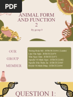 Reproductive System of Frog | PDF | Testicle | Sperm