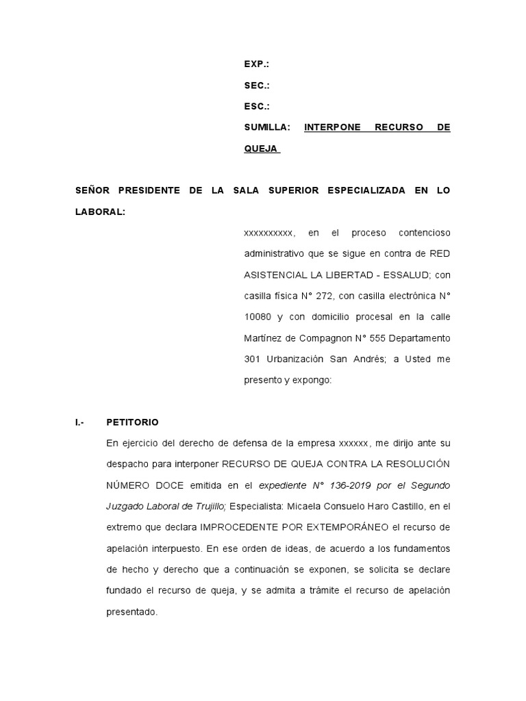 Recurso - QUEJA - Modelo | PDF | Apelación | Demanda judicial