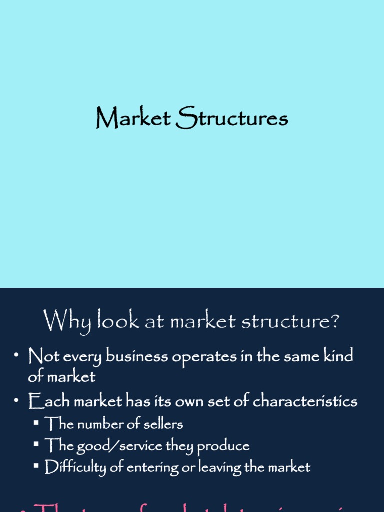 Market Structures Notes | PDF | Monopoly | Market (Economics)