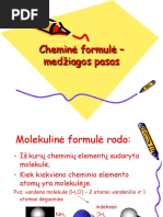 Cheminio Rysio Apibendrinimas (Autosaved) | PDF