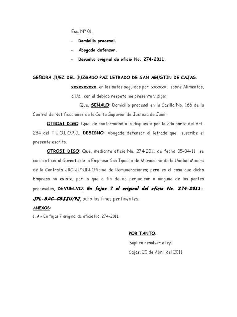 Devuelvo Original de Oficio | PDF