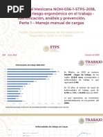 Norma Oficial Mexicana Nom-036-1-Stps-2018 | PDF | Factores humanos y ...