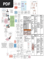 Protocolo ROSE | PDF | Reanimación cardiopulmonar | Medicina