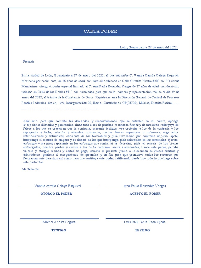 Carta Poder Simple Word | Descargar gratis PDF | Ley Pública | Gobierno