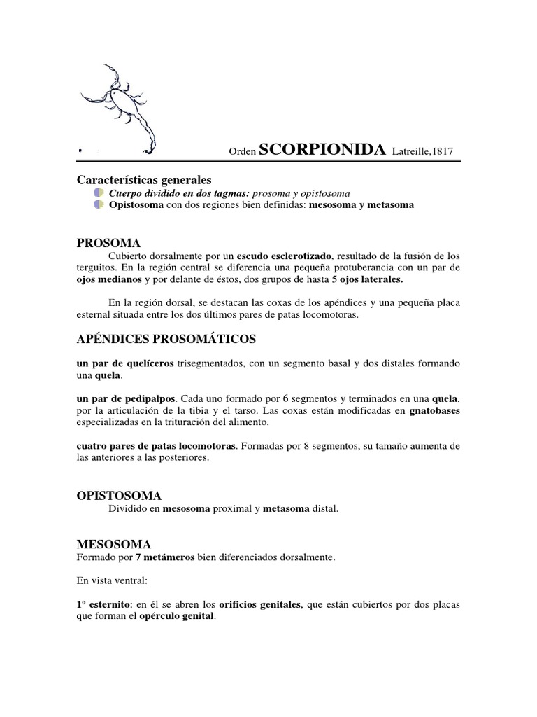 Características del Orden Scorpionida | PDF | Sistema reproductivo ...