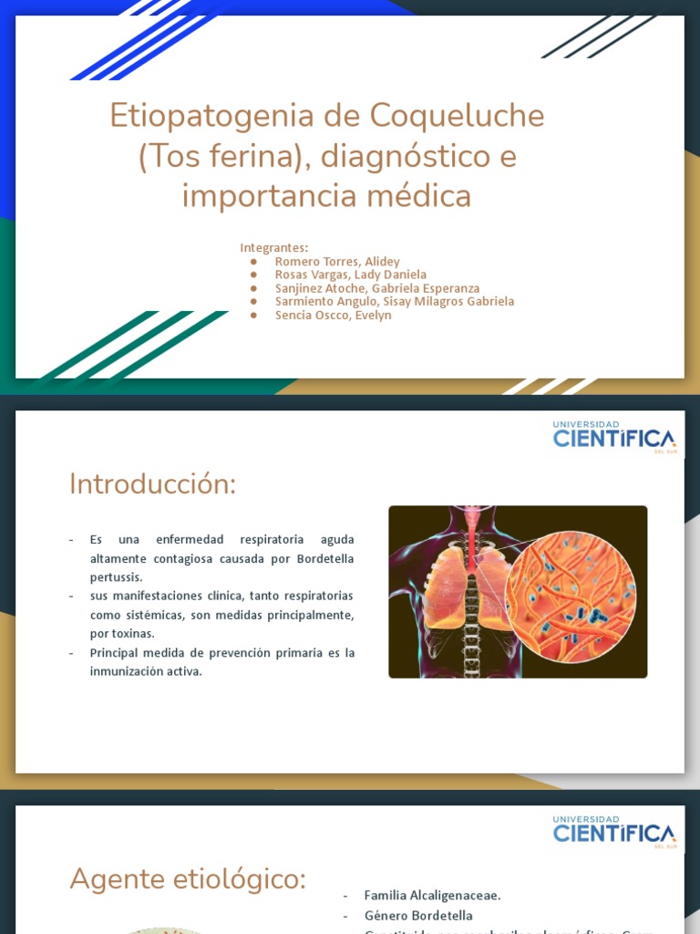 Etiopatogenia de Coqueluche (Tos Ferina), Diagnostico e Importancia Médica | PDF | Inmunología ...