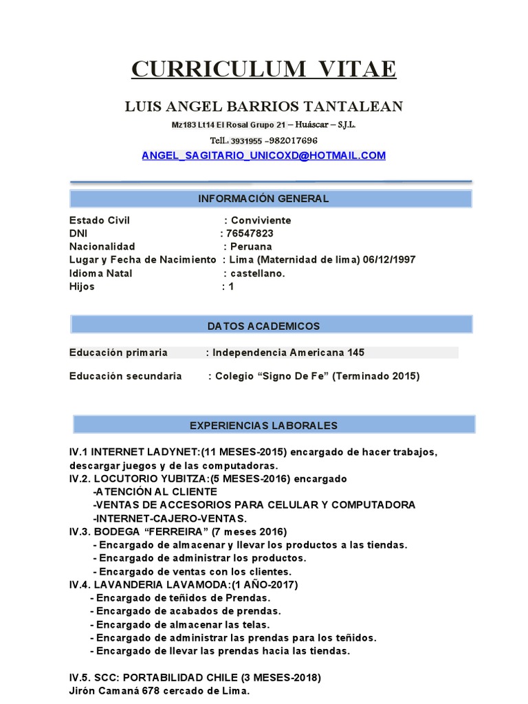 Curriculum Vitae Luis Angel 2019 | PDF