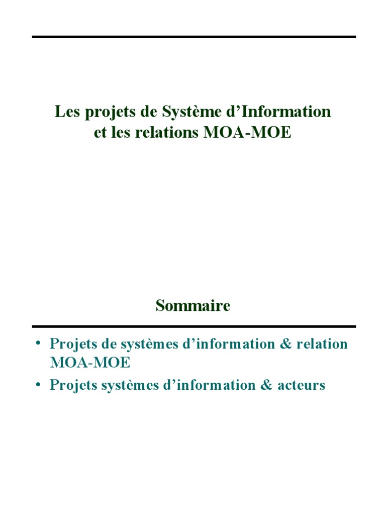 Projets SI : Relations MOA-MOE et enjeux | PDF | Gestion de projet ...