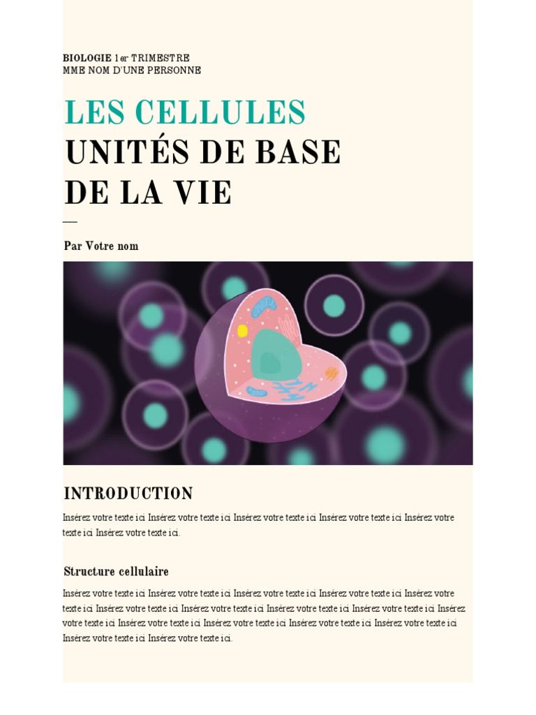 Rédaction Exemple Cellule B | PDF