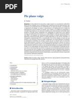 Linea de Feiss, Linea de Helbing | PDF | Pie | Anatomía humana