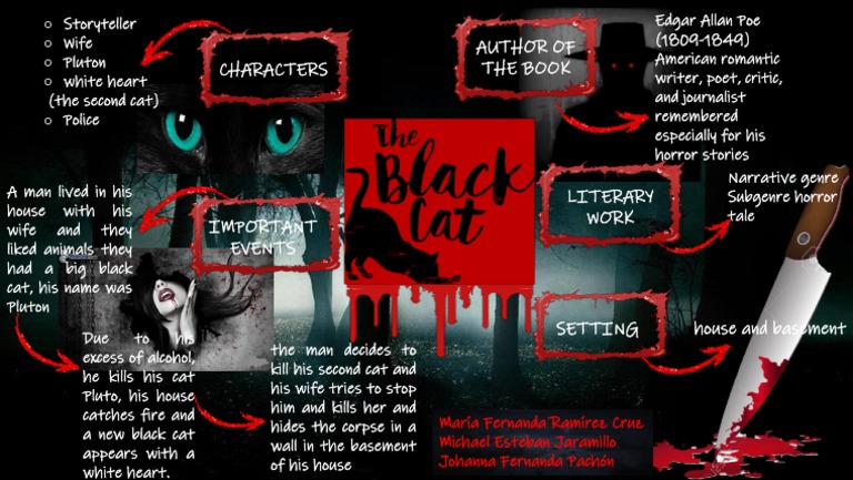 The Black Cat | PDF
