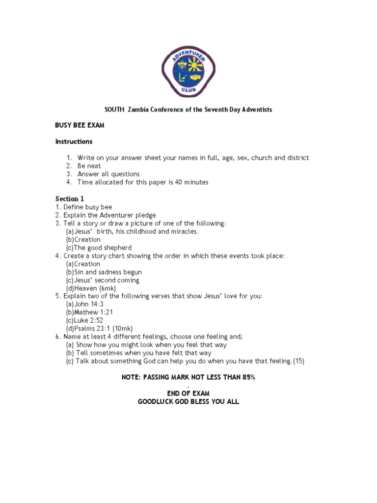 Section 1: Busy Bee Exam Instructions | PDF