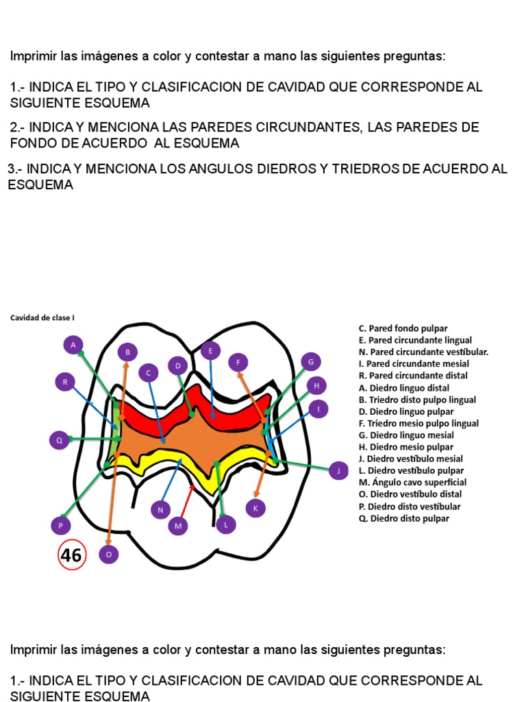 Angulos y Paredes de Cavidades Dentales | PDF | Estudios de idiomas ...