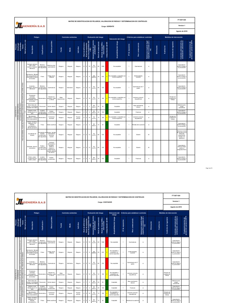 Matriz de Peligro | PDF | Factores humanos y ergonomía | Medicina CLINICA