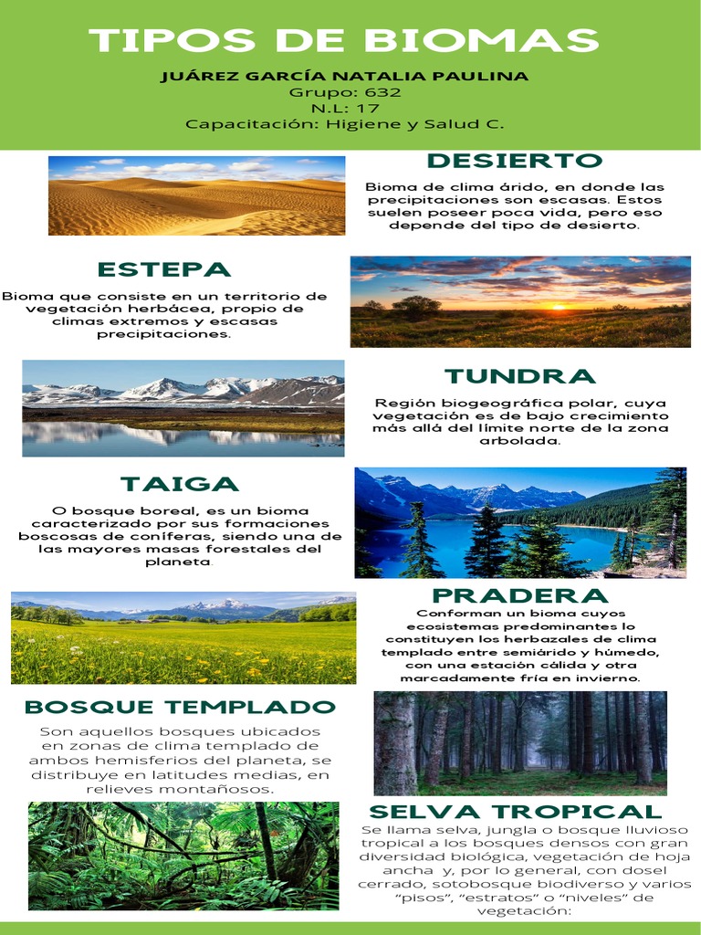 Tipos de Biomas | PDF | Selva | Los bosques