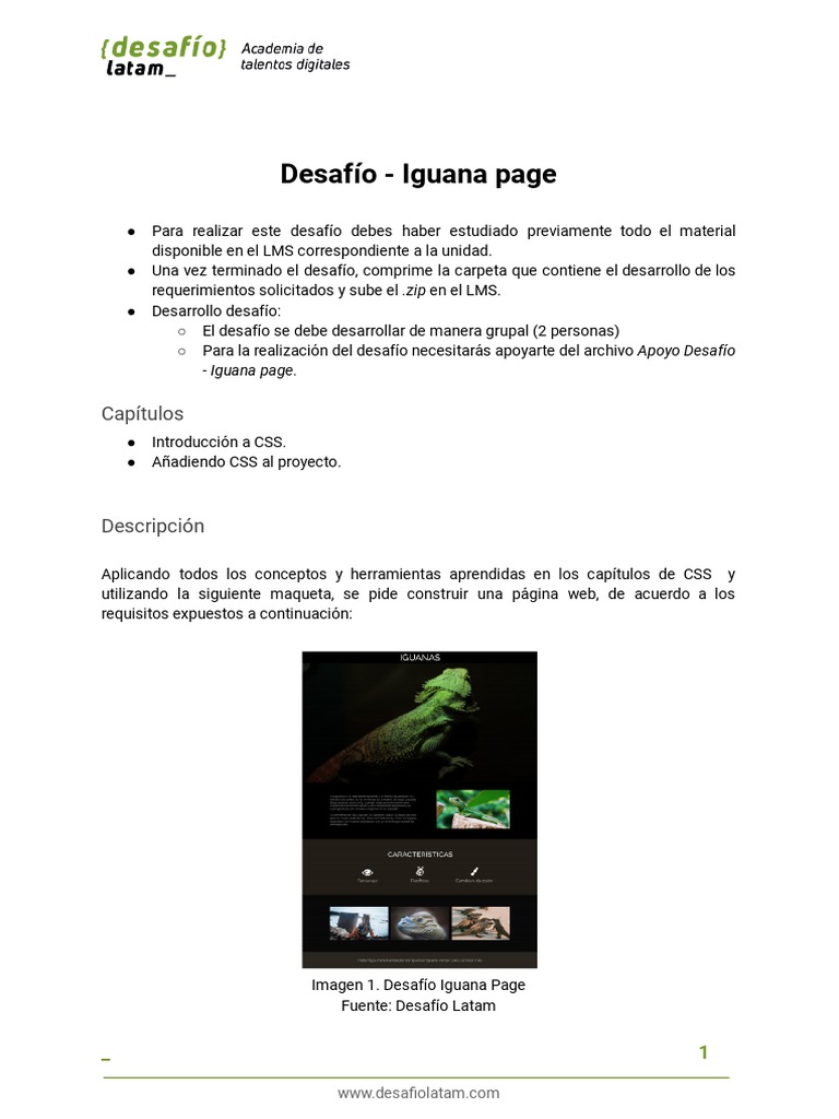 Desafío de CSS: Construcción de Iguana Page | PDF | Desarrollo de software | Informática