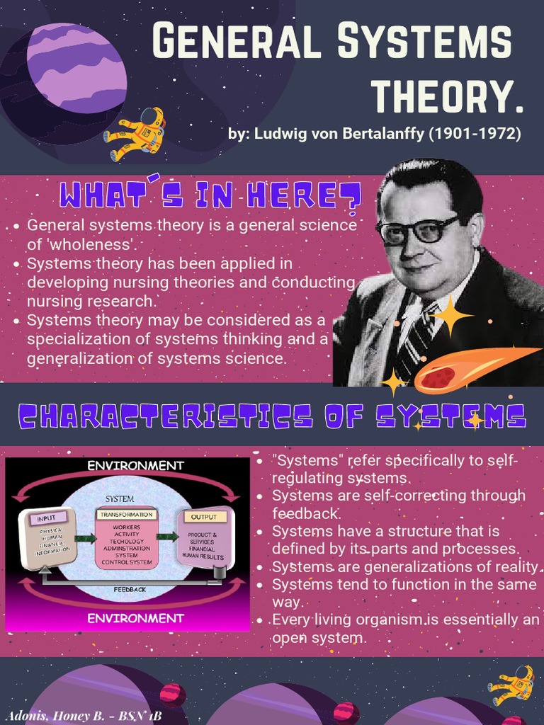 Systems Theory in Nursing | PDF | Systems Theory | System