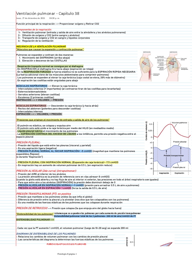 Ventilación Pulmonar - Capítulo 38 | PDF | Pulmón | Sistema respiratorio