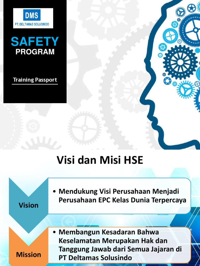 Hse Program Dms | PDF