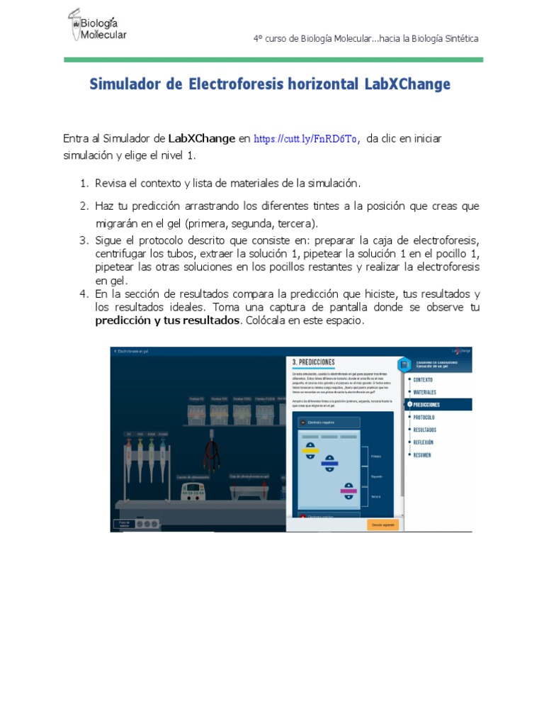 ACT 08. Simulador 02 . | PDF