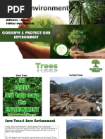 Narrative Report On Tree Planting Experience | PDF