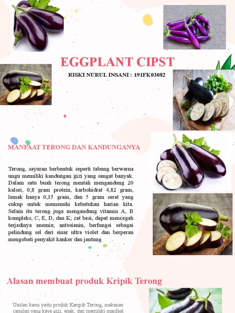 Kripik Terong | PDF