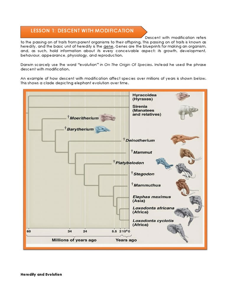 Lesson 1: Descent With Modification: Heredity and Evolution | PDF ...