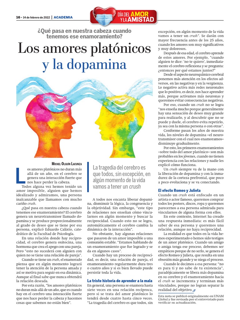 Dopamina Pdf Amor Cerebro