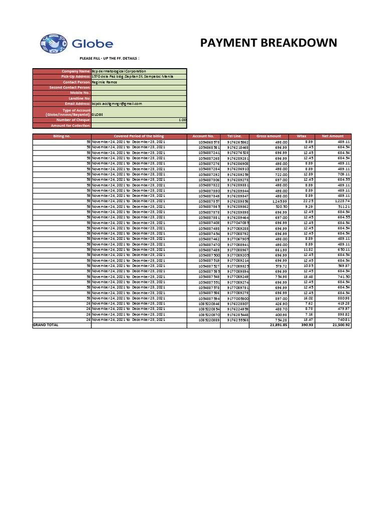 Payment Breakdown for Globe Accounts | PDF | Payments