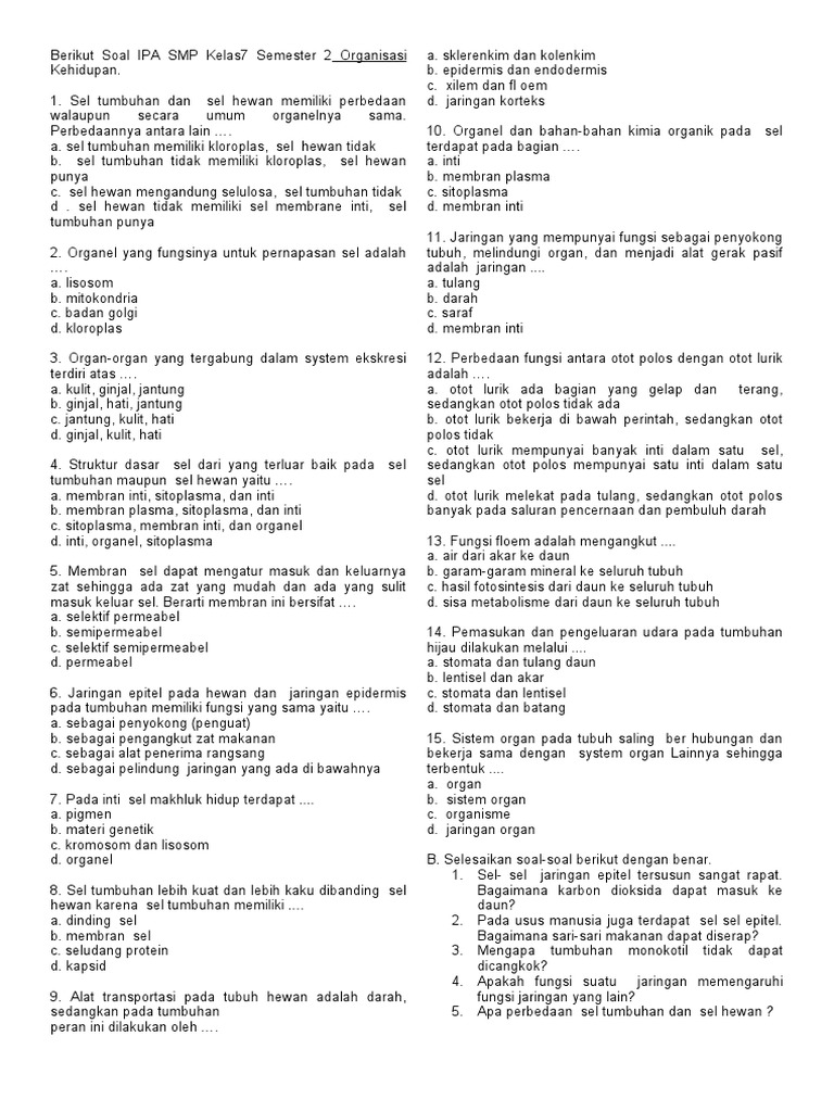 Contoh Soal Ulangan Harian IPA SMP Kelas 7 | PDF