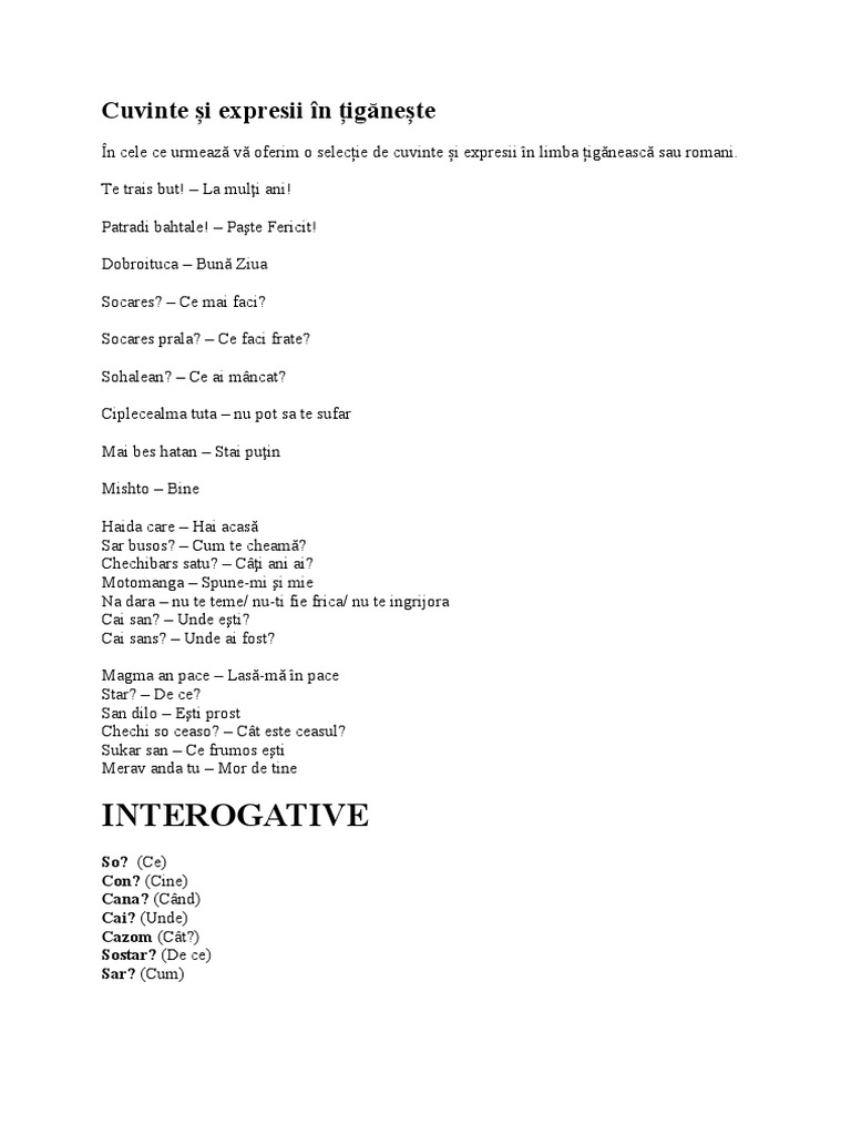 Cuvinte Și Expresii În Țigănește | PDF