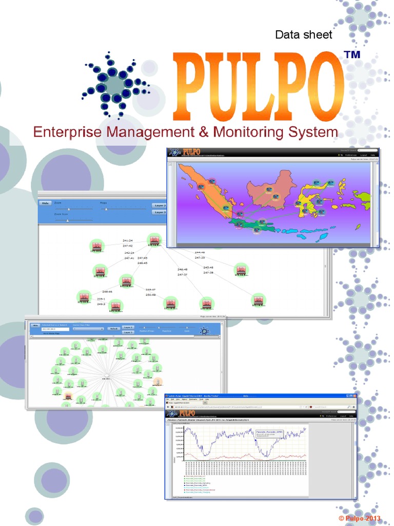 PULPO-Monitoring System Datasheet | PDF | Computer Network | Databases