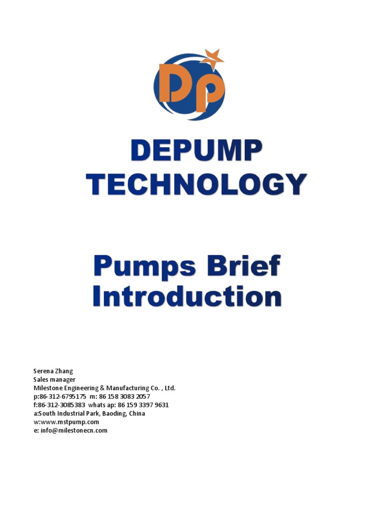 DEPUMP Pumps Brief Introduction | PDF