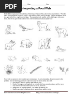 3rd Grade - Food Chain Worksheet | PDF