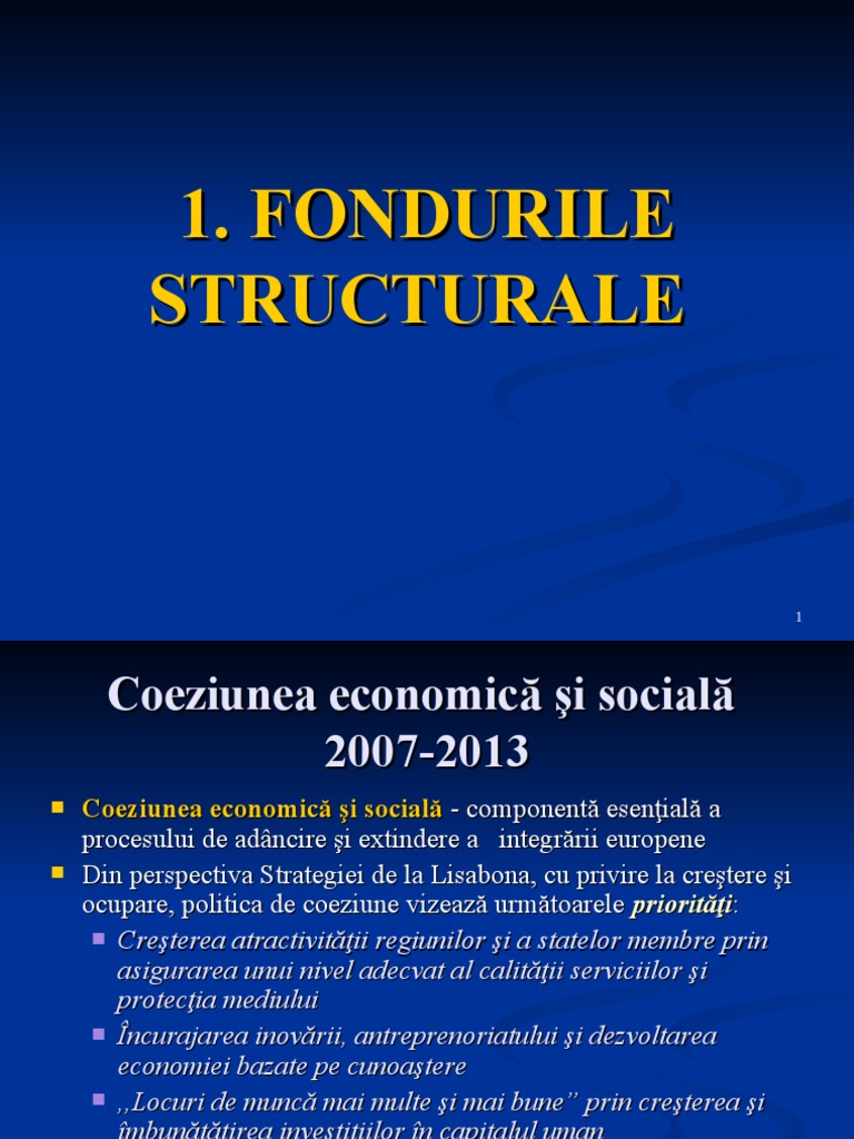 Fonduri Structurale | PDF